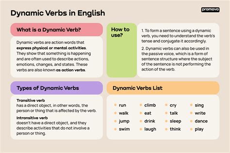 Dynamic Verbs List And Examples Promova