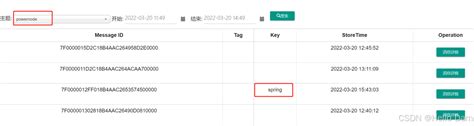 RocketMQSpringBoot整合RocketMQ rocketmq spring boot CSDN博客