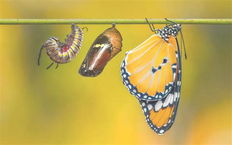 Transformation Bas Carbone Des Eti Et Pme Wwf France