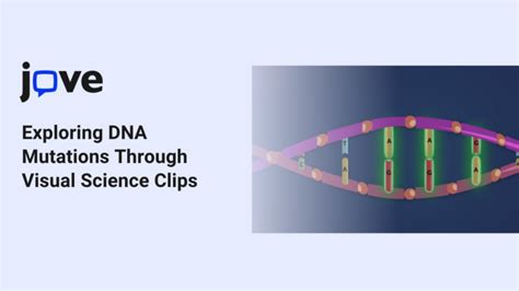 Dna Mutations Explained Teaching Mutations With Jove Videos