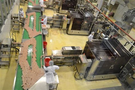 我院团委实践部组织学生参观益力多工厂 广州大学数学与信息科学学院