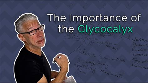 The Importance Of The Glycocalyx Youtube