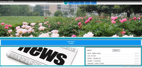基于springboot vue的大学生体质测试管理系统设计与实现 基于vue框架社区健康信息检测的设计与实现毕业设计 csdn博客