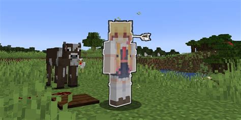 Every Status Effect And What It Does In Minecraft