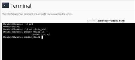 Cara Import Database Melalui Terminal Ssh Di Hosting