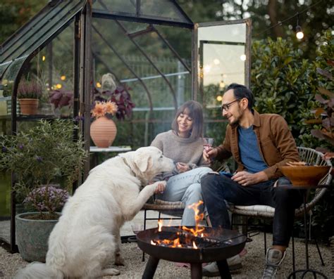 12 Amazing Dog Yard Ideas To Try In 2024
