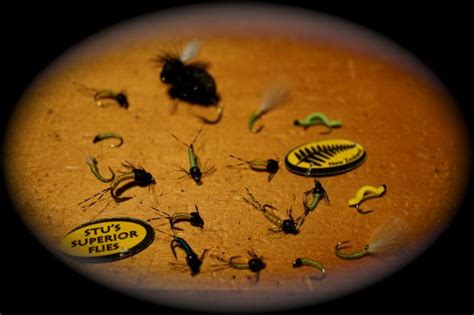 Stus Fly Shop And Stus Superior Flies Nz And Australia Willow Grub Trout