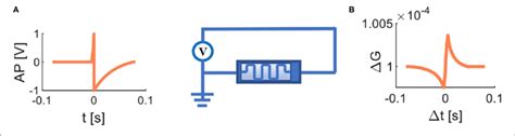 the memristive stdp a the voltage is applied to the memristor b