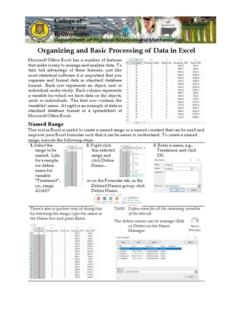 Lesson 2 2a Organizing Data In Excel Pdf Microsoft Excel Computer Programming