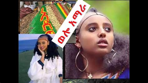 ወሎ አማራ Youtube