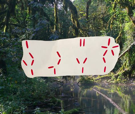 Predator Self Destruct Vinyl Decal Etsy