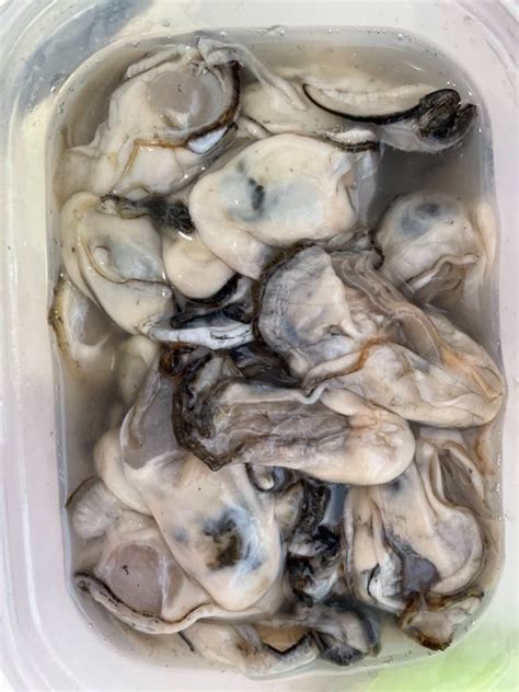 生食用 真牡蠣 兵庫県 坂越産 特許取得済 海洋深層水で浄化された安心・安全な殻付き生牡蠣 冷蔵 ギフト プレゼント