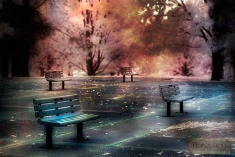 Wordless Wednesday Shona Skye Creative Photography
