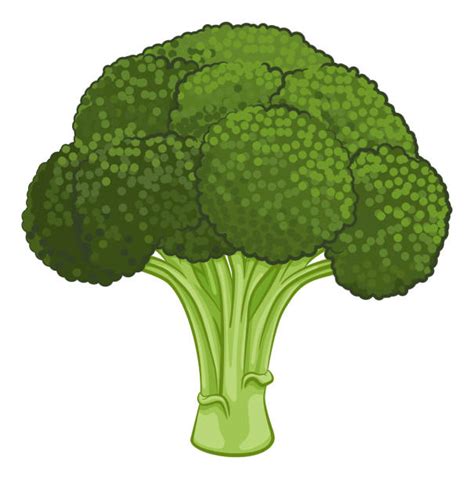Cartoon Broccoli Cute Kawaii Dancing Broccoli Cartoon Illustration
