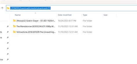 File Directory For Plex And Nzb Get Runraid