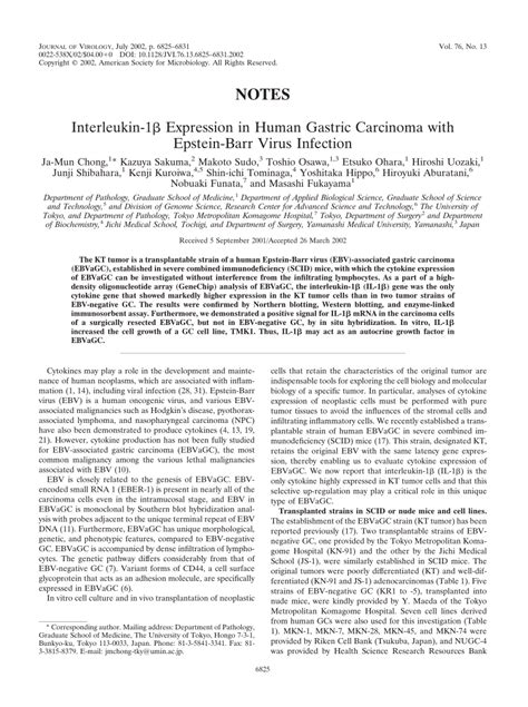 Pdf Interleukin 1 Expression In Human Gastric Carcinoma With Epstein