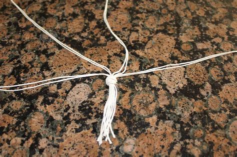 Super Easy DIY Indoor Trellis Garden A Butterfly House