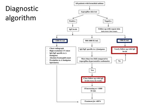 Aspergillus And Abpa Ppt Download