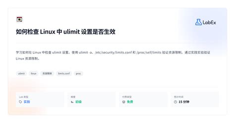如何检查 Linux 中 Ulimit 设置是否生效 Labex