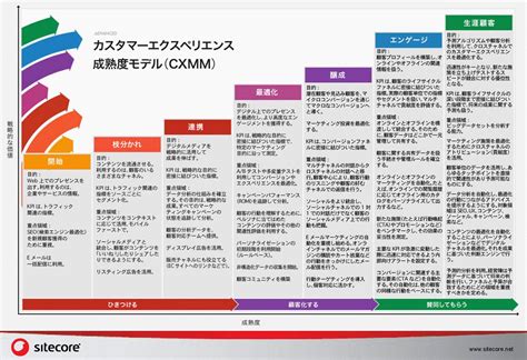 御社のマーケティングはカスタマーエクスペリエンス成熟度（cxmm）のどのレベル？ インタビュー マーケティング デジタル