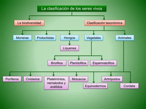 Biología Pau Ecología La Clasificación De Los Seres Vivos Esp Ppt