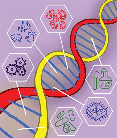 The Synthetic Biology Revolution Is Now Heres What That Means Biotech And Bioethics