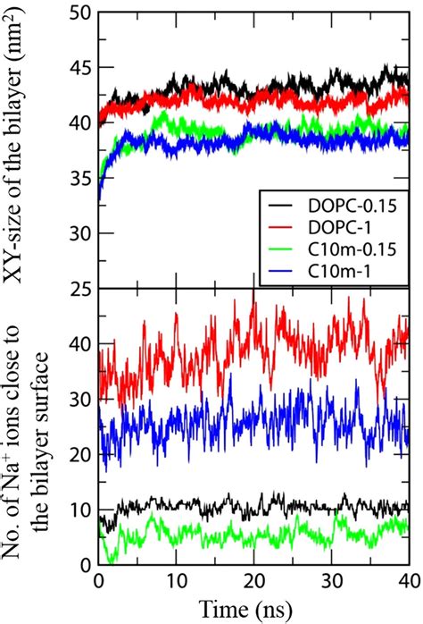 The Bilayer Size In Xy Dimension Top And The Number Of Na Ions Close