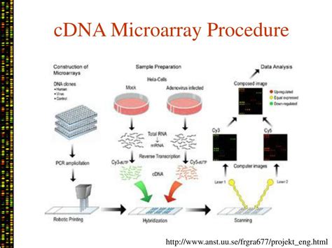 PPT Literature Survey Microarray Data Analysis PowerPoint Presentation ID