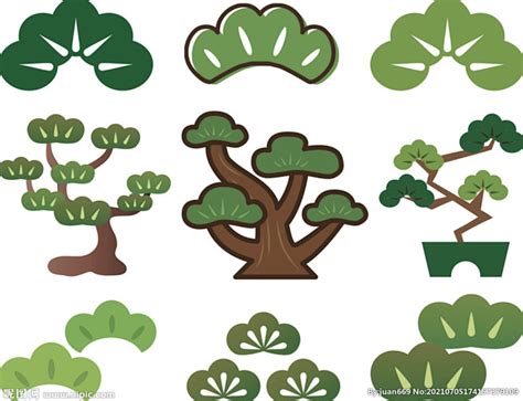 矢量松树枝叶素材