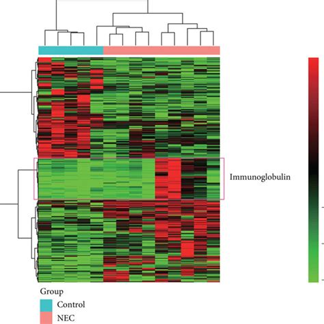 The Expression Patterns And Biological Function Of Differentially Download Scientific Diagram