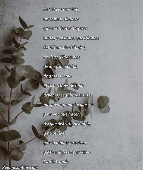 Cinco Mejores Poemas De La Vida Para Reflexionar Cortos Poemas Online