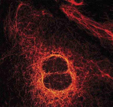 Sted Microscopy Uncovers Signals Between Molecules Features Jul Aug