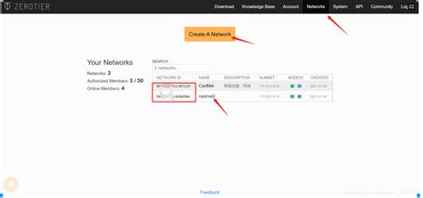 借助于服务器 nginx zerotier实现内网穿透 vps zerotier nginx csdn博客