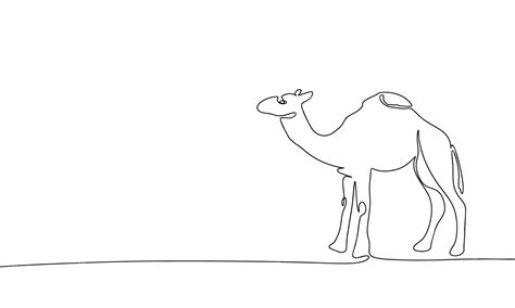 Premium Vector Camel Isolated On White Background Line Art Desert