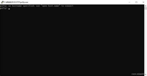 Putty以及psftp的基本操作，使用方法等 Csdn博客