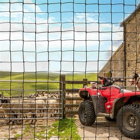 Garden Pe Anti Bird Netting Chicken Plants Climbin Grandado