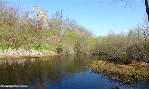 Valea Cosăului Breb Tăurile și Tinovul Hoteni Turismmaramures Ro