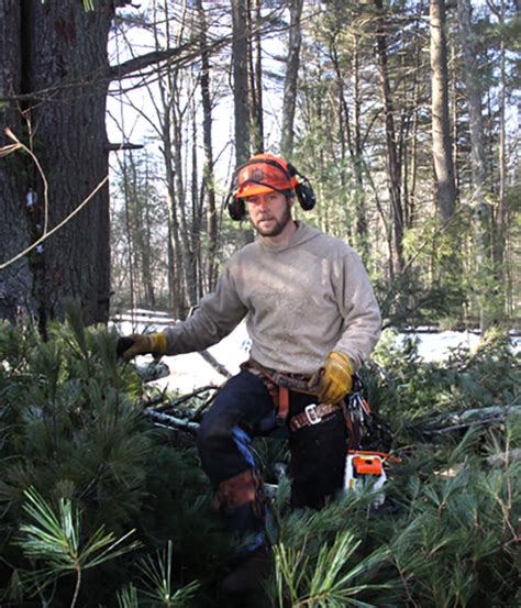 About Tree Pro In Coventry RI Tree Pro Inc Tree Removal Services Rhode Island