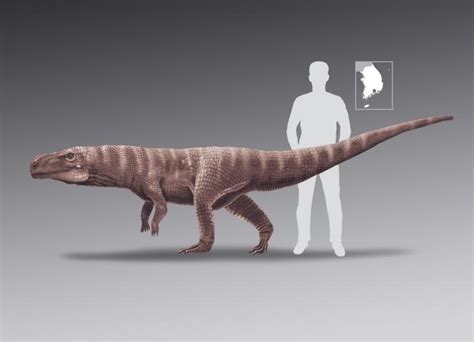 New Discovery Of Giant Bipedal Crocodile Footprints In The Cretaceous