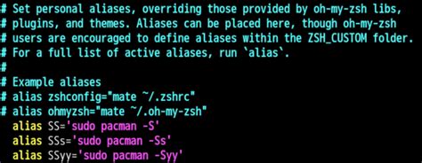 Archlinux下安装和配置zsharchlinux Zsh Csdn博客