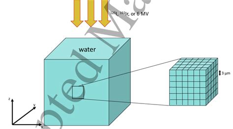 Schematic Diagram Of The Simulation Geometry Used To Generate Specific