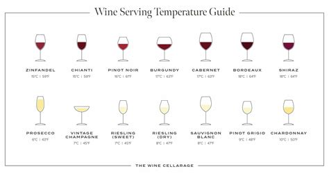 Wine Serving Temperature Guide The Wine Cellarage