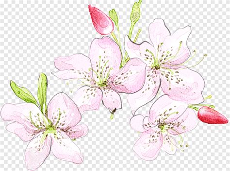 تصميم الأزهار النفط الطلاء الرسم بالألوان المائية والتصميم الرسم