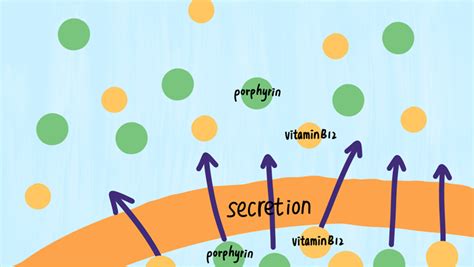 Description Bjwz China