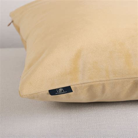 Phantoscope Soft Silky Velvet Series Square Decorative Throw Pillow
