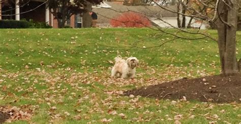 Homage Shoot Stephen Shore By Katherine Boler At