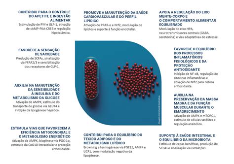 Reverse® Ages Bioactive Compounds