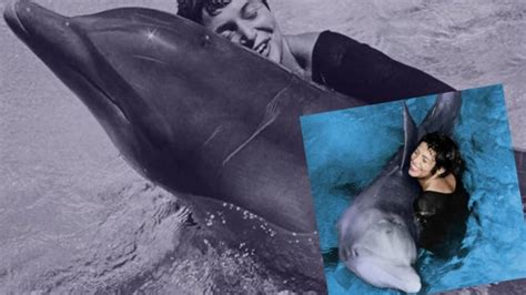 Una Mujer Y Un Delfín Se Enamoraron En Investigación De La Nasa El