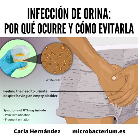 Eva Taboada González On Linkedin Infección De Orina Por Qué Ocurre Y