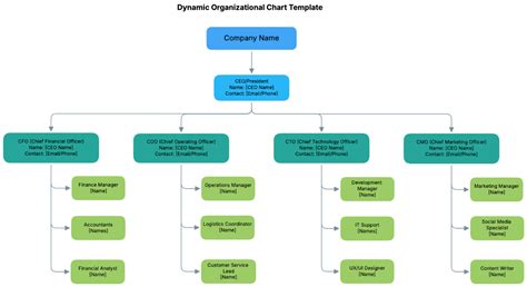 Free Org Chart Templates And Examples Edit Online And Download